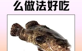 淡水石斑鱼用什么饵料_淡水石斑鱼饵料配方