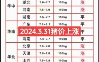 今日全国猪肉价格多少钱一斤_2024年猪价走势还会涨吗