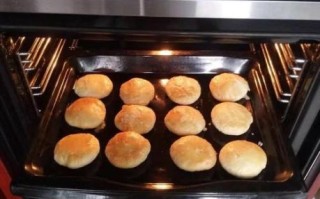 烤箱烤酥饼的做法_烤箱烤酥饼温度和时间