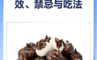 荸荠的功效与作用及禁忌_孕妇能吃荸荠吗