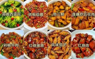 免费菜谱大全_有哪些家常菜做法