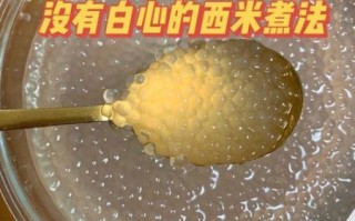 西米怎么煮透明_西米做法大全图解