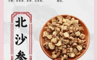 北沙参产地在哪里_北沙参哪里产的好