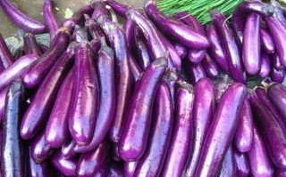 烧茄子怎么做不吸油_烧茄子怎么保持紫色