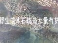 野生淡水石斑鱼多少钱一斤_哪里能买到正宗货