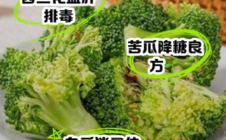 降火最快的蔬菜有哪些_吃什么蔬菜去火最快