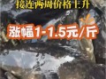 石斑鱼多少钱一斤2020_石斑鱼价格走势