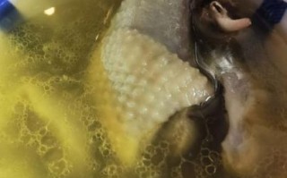 清炖鸡汤怎么炖好喝_清炖鸡汤最正宗的做法王刚