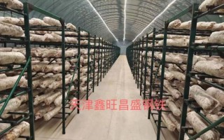 香菇种植大棚造价多少钱_香菇大棚怎么搭建