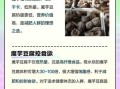 魔芋减肥怎么吃_魔芋热量高吗