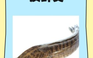 黑鱼是淡水鱼还是海水鱼_黑鱼能在咸水里活吗