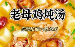 鸡汤怎么炖不柴_老母鸡炖汤不柴的秘诀