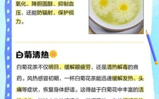 白菊花茶的功效与禁忌_孕妇能喝吗