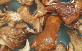 真姬菇煲汤的做法_真姬菇汤怎么煲才鲜