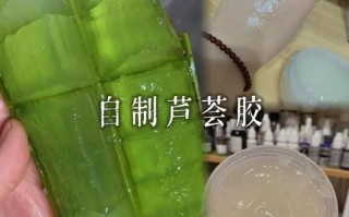 新鲜芦荟怎么做面膜_芦荟面膜正确使用方法