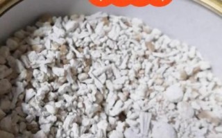 野生葛根长什么样_如何辨别真假