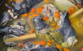 乌鸡汤怎么炖好吃又营养_乌鸡汤放什么食材最补气血