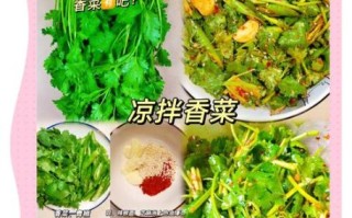 香菜怎么腌制_香菜腌制的做法大全