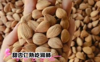 甜杏仁吃多少会中毒_甜杏仁中毒剂量是多少