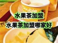 水果茶加盟店10大品牌排行榜_哪个品牌更值得投资