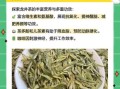 西湖龙井茶的功效与作用_适合什么人喝