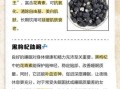女人长期喝黑枸杞好吗_黑枸杞对女性的副作用