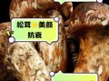 野生松茸的功效_野生松茸怎么吃最好