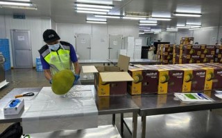 菠萝蜜国际通道2怎么开通_菠萝蜜国际通道2稳定吗