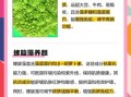 螺旋藻可以长期服用吗_螺旋藻长期吃有什么副作用