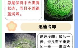 毛豆怎么煮还是绿的_毛豆煮多久不变色