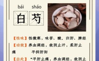 白芍的功效与作用是什么_白芍有哪些副作用