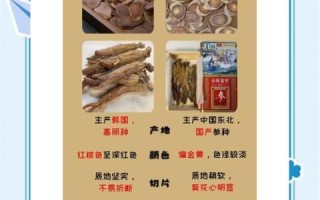 红参和人参的区别_哪个更适合日常滋补