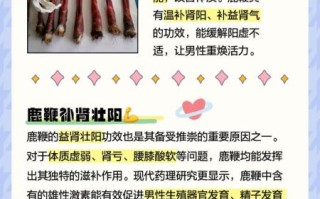 鹿鞭的功效与作用吃法_鹿鞭怎么吃效果最好