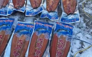 大马哈鱼产地在哪里_大马哈鱼多少钱一斤