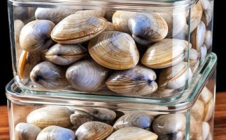 花蛤怎么清洗_花蛤的做法家常做法