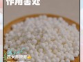 西米有什么功效_西米怎么吃最养胃