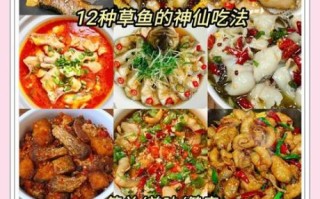 草鱼怎么做好吃_草鱼最佳吃法