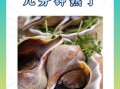 海螺水煮几分钟_海螺煮多久才熟