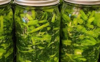 雪里蕻腌制后怎么吃_雪里蕻腌菜的家常做法