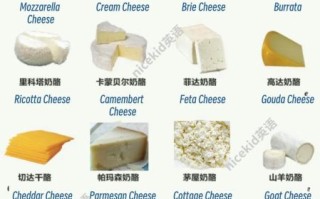cheese怎么读_cheese发音规则