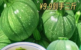 绿皮小南瓜怎么吃_绿皮小南瓜的做法大全