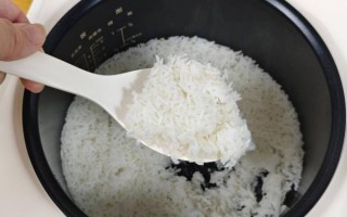 电饭煲焖黑米饭能熟吗_黑米要泡多久