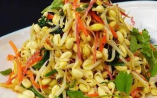 豆芽凉菜怎么做_豆芽凉菜怎么拌才好吃 豆芽凉菜怎么做_豆芽凉菜怎么拌才好吃