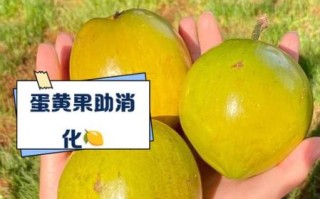 鸡蛋果的功效与作用_鸡蛋果怎么吃最好