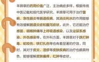 羊蹄菜的功效与作用_羊蹄菜怎么吃最好