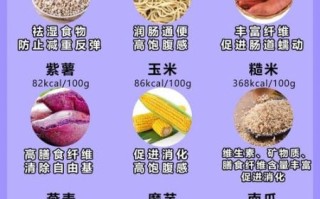 减肥期间吃什么_减肥期间吃什么主食