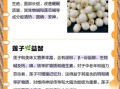 莲子有什么功效与作用_莲子哪些人不能吃