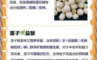 莲子有什么功效与作用_莲子哪些人不能吃