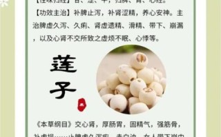 莲子怎么吃最养人_莲子功效与作用吃法