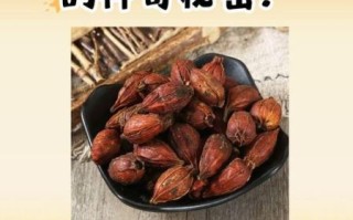 炒栀子的功效与作用_炒栀子的禁忌有哪些
